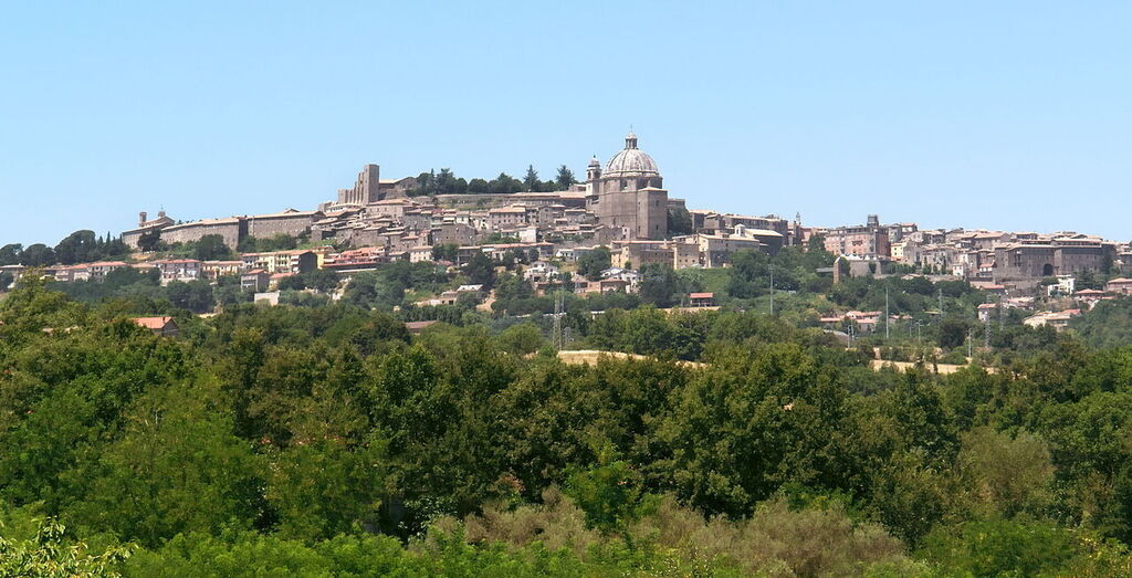 Explore The Culinary Treasures Of Montefiascone